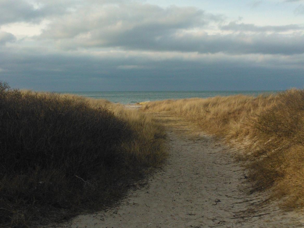 Bjerge Sydstrand Camping - DK-Camp