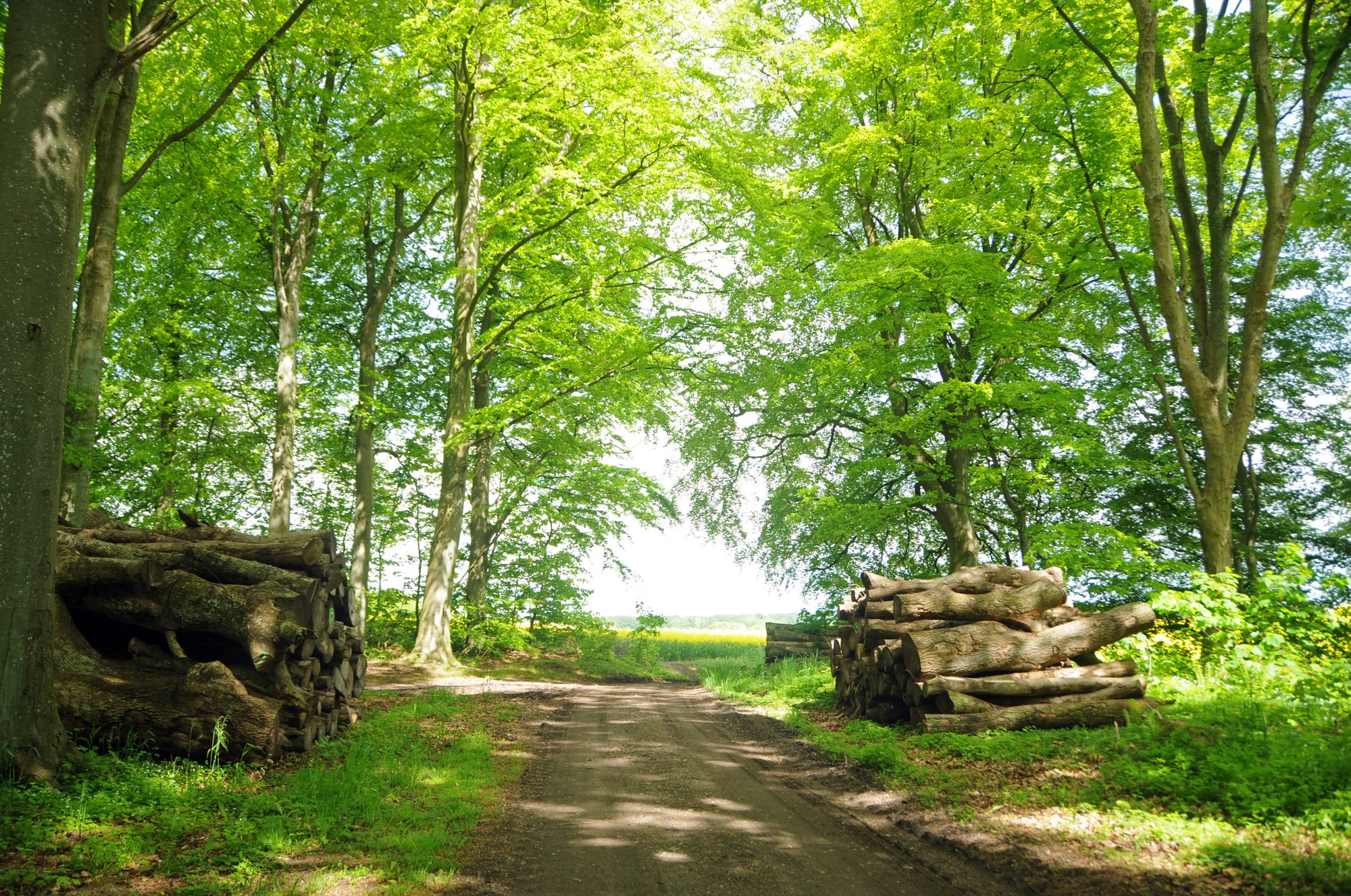 Rugaard Camping - DK-Camp