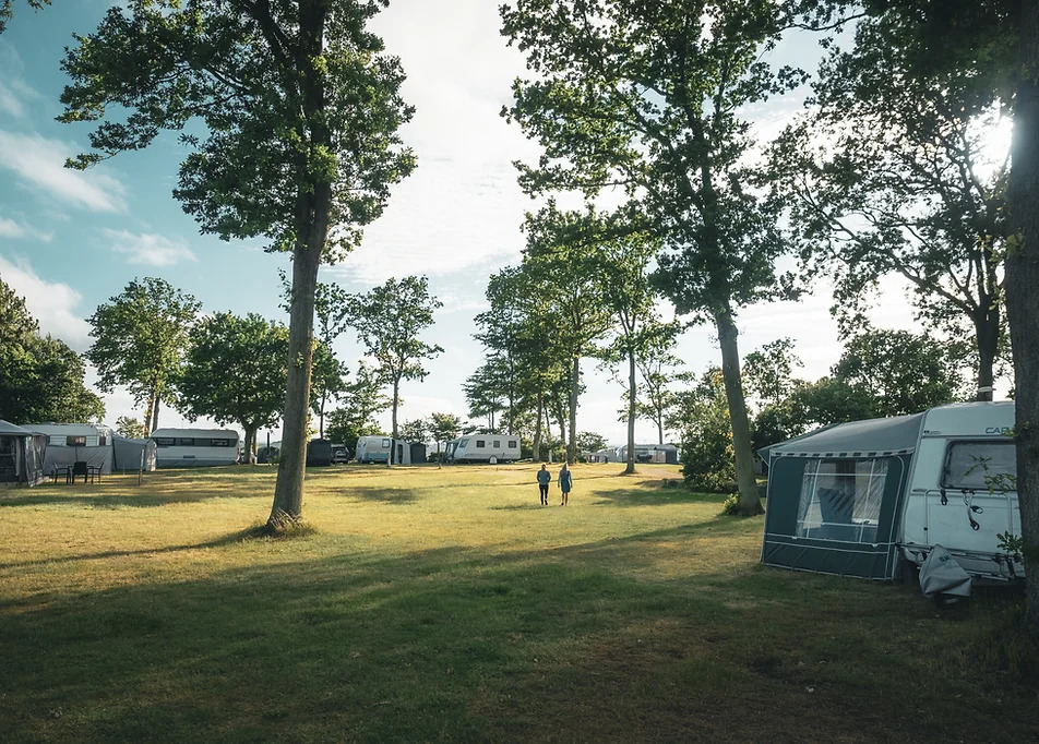 Falsled Strand Camping - DK-Camp