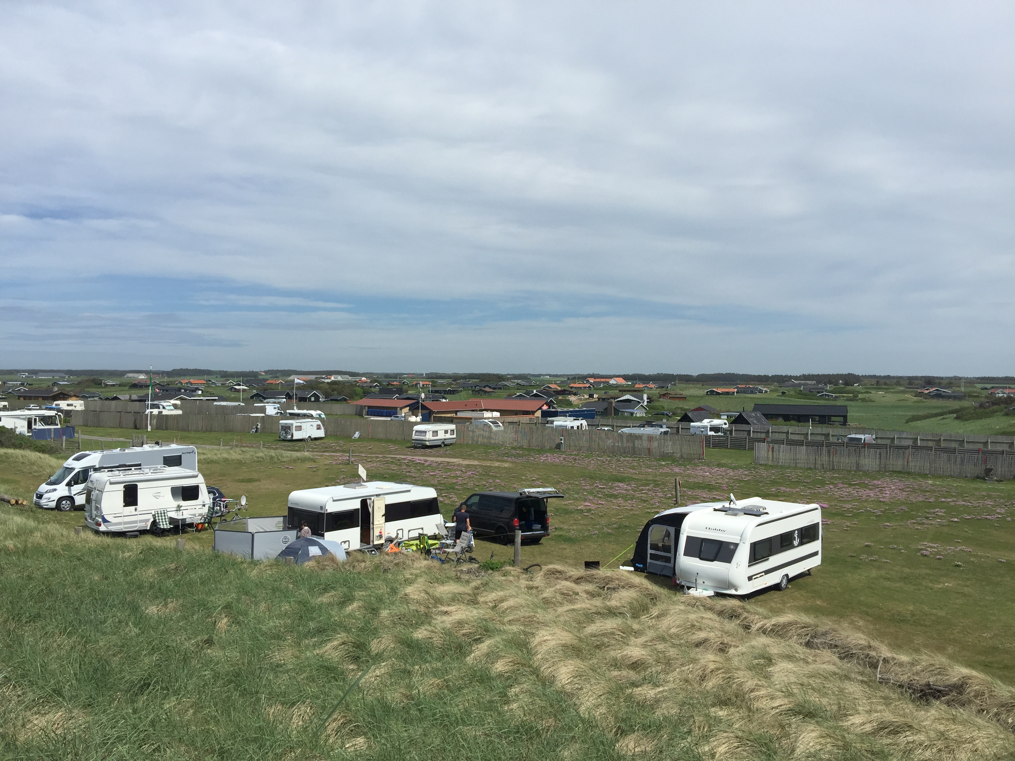 Løkken Strand Camping - DK-Camp