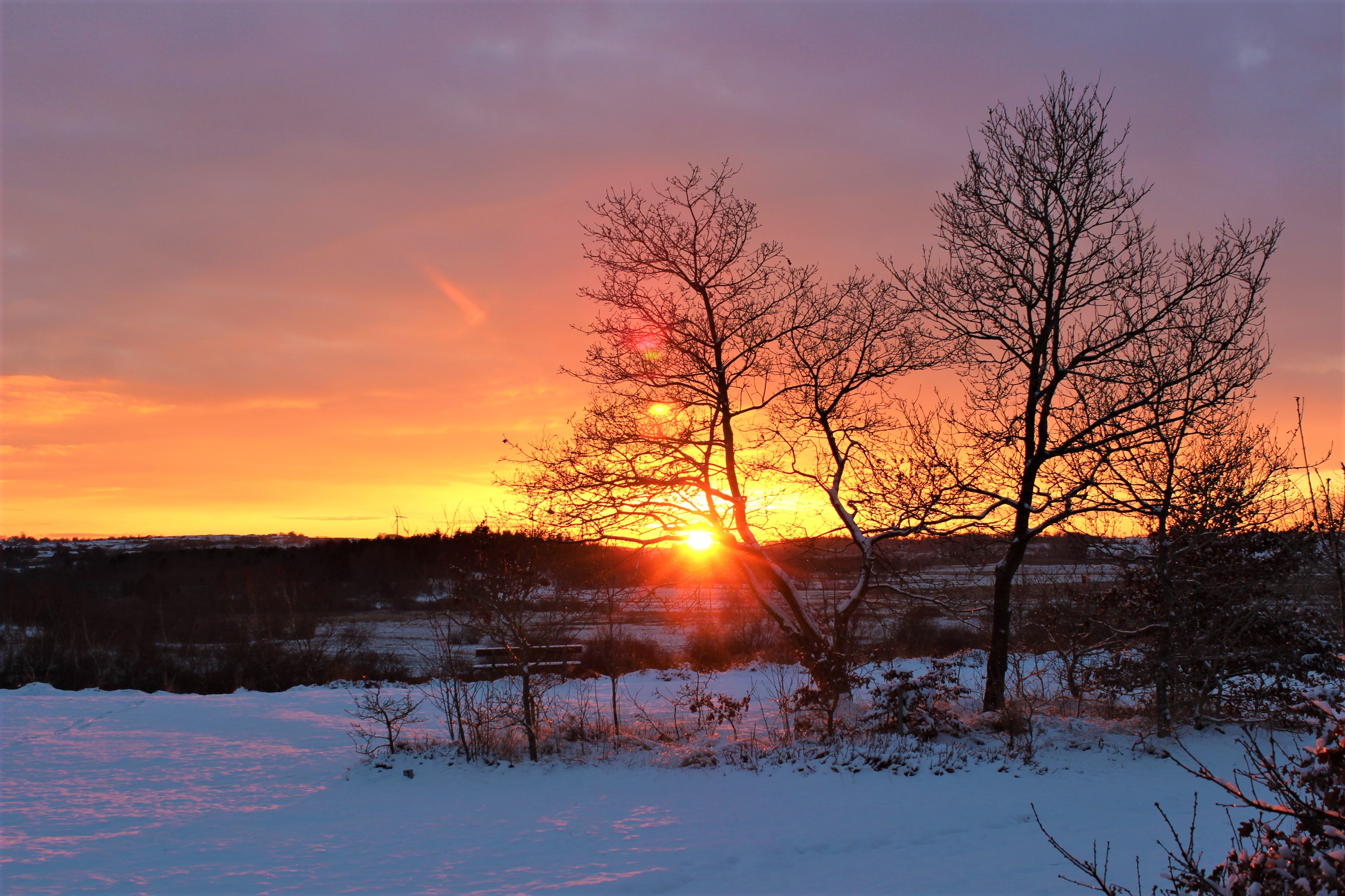 Randers City Camp - DK-Camp