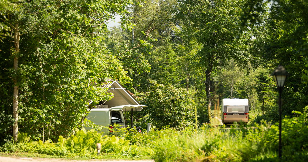 Small campsites in Denmark