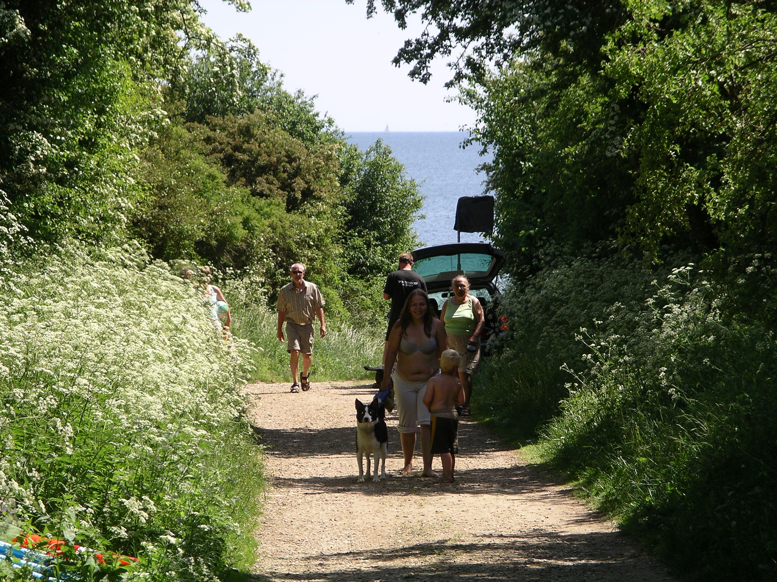 Halk Strand Camping - DK-Camp