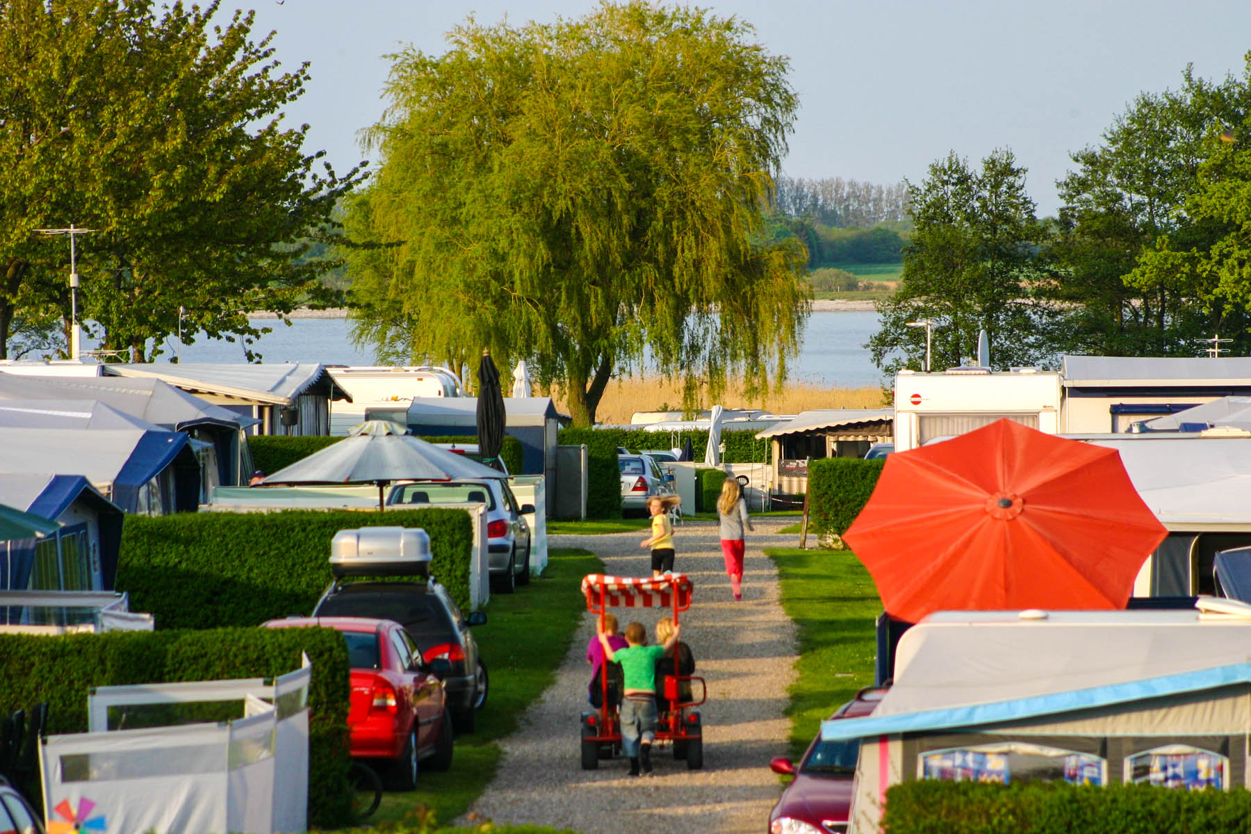 Gammelbro Camping - DK-Camp