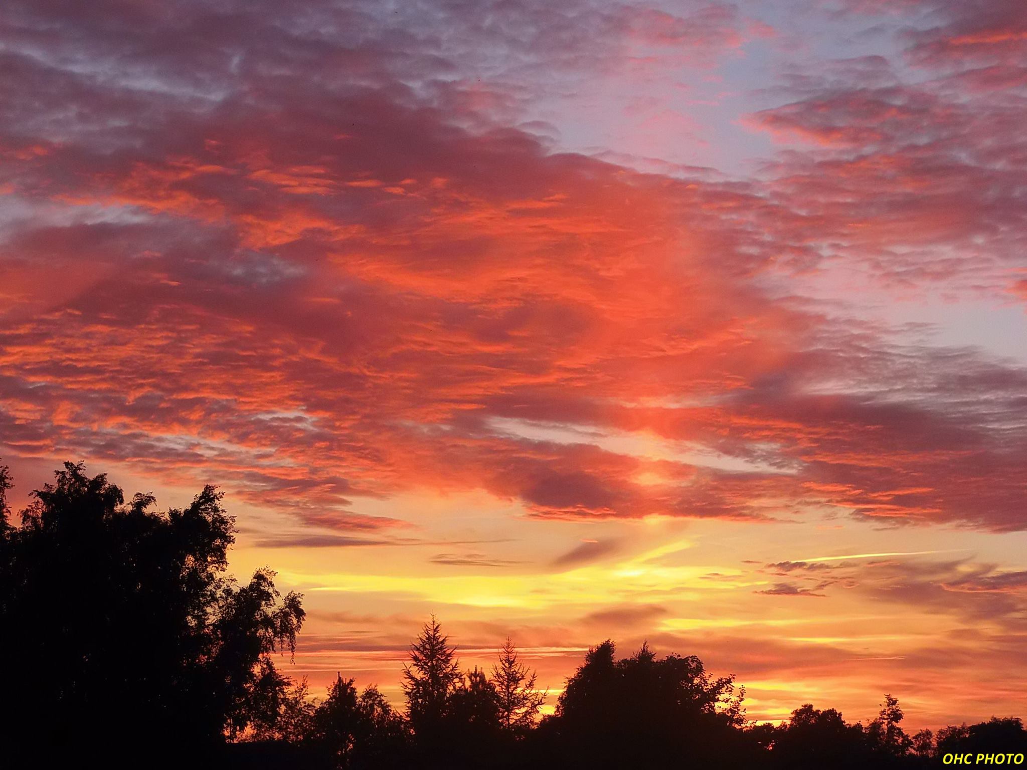 Dalgård Camping - DK-Camp